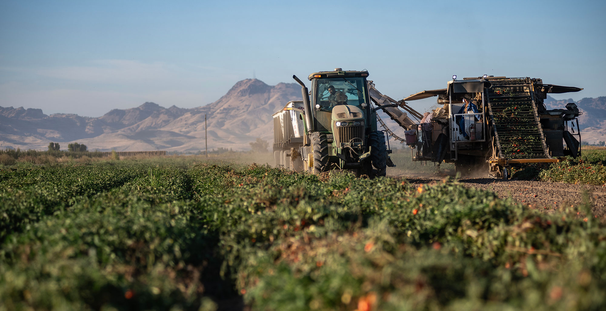 Products - Regenerative Organic | Pacific Foods®